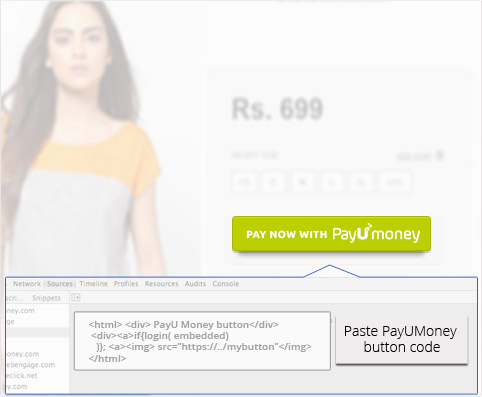 How to Choose the Best Online Payment Solution for Business?